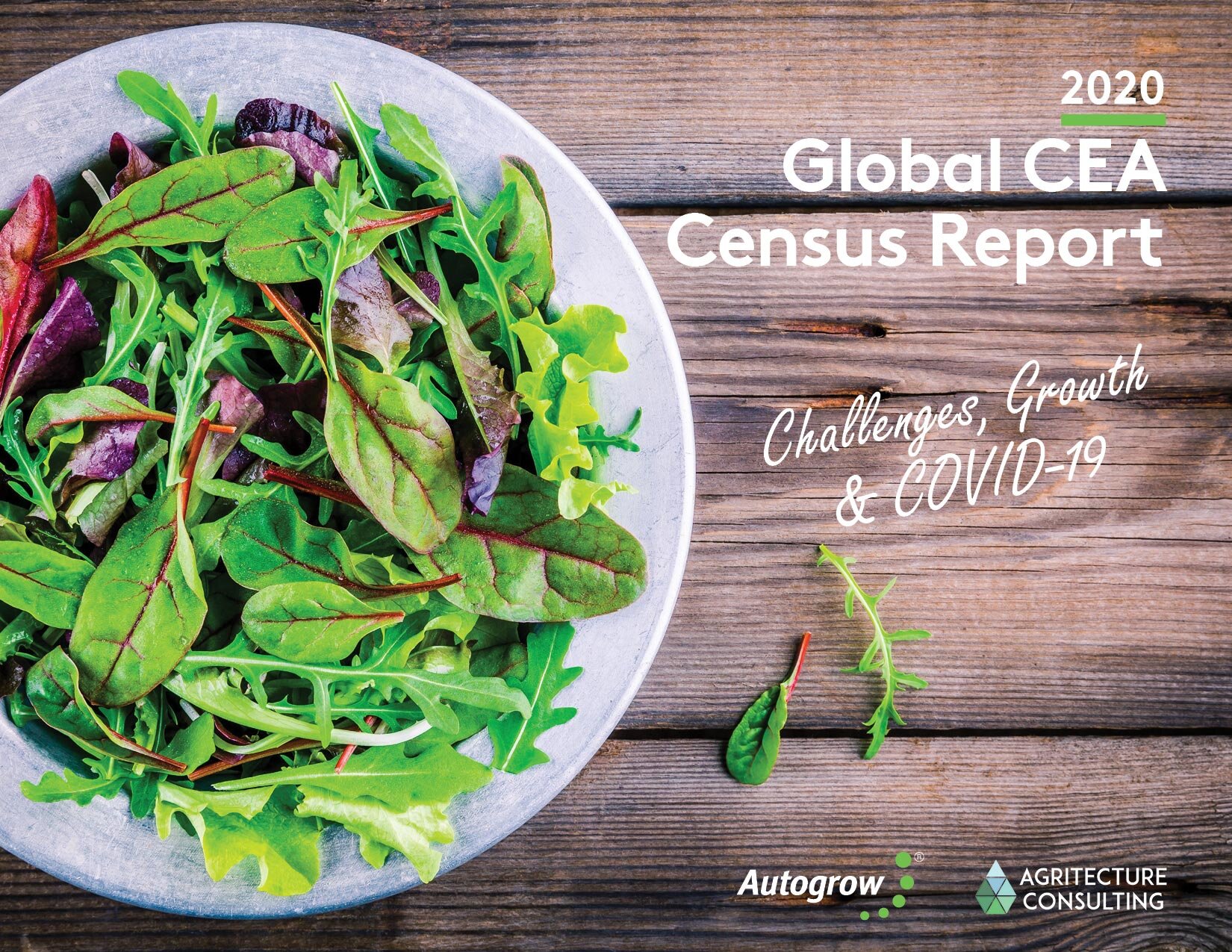 2024 Global Controlled Environment Agriculture Census — Thank you