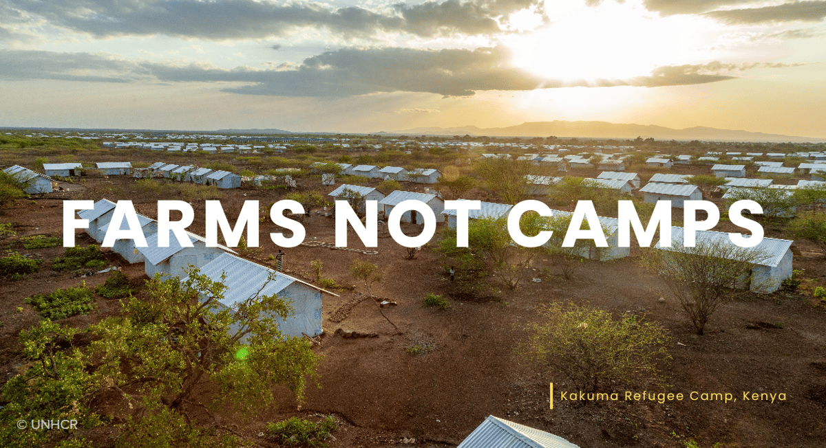 Kakuma’s AgriHope Initiative Plants Seeds of Survival