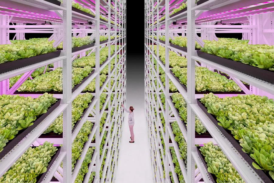 Agritecture Consulting Portfolio — AGRITECTURE