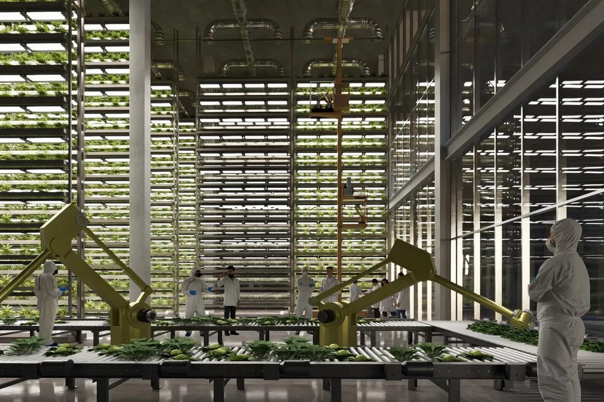 From Concept to Reality: Rethinking Vertical Farms as Urban Infrastructure