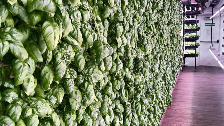 Square Roots — AGRITECTURE