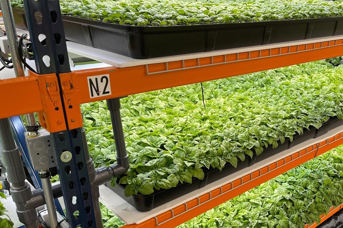 Agritecture Consulting Portfolio — AGRITECTURE