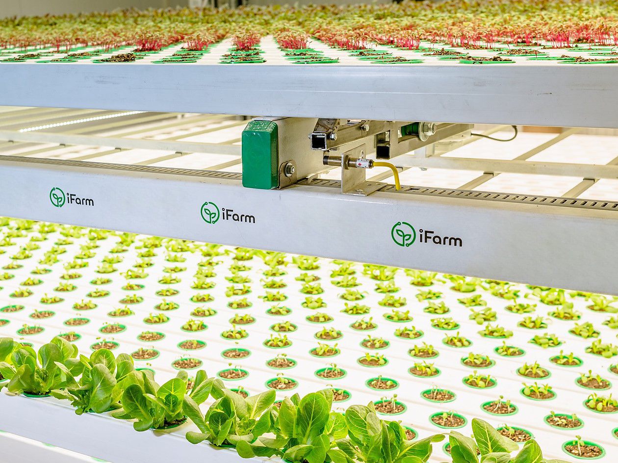 iFarm — AGRITECTURE