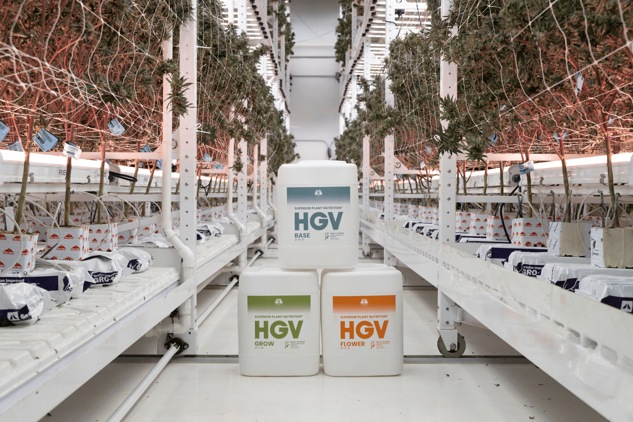 From Planning to Profitability: How Agritecture and Hydrobuilder ...