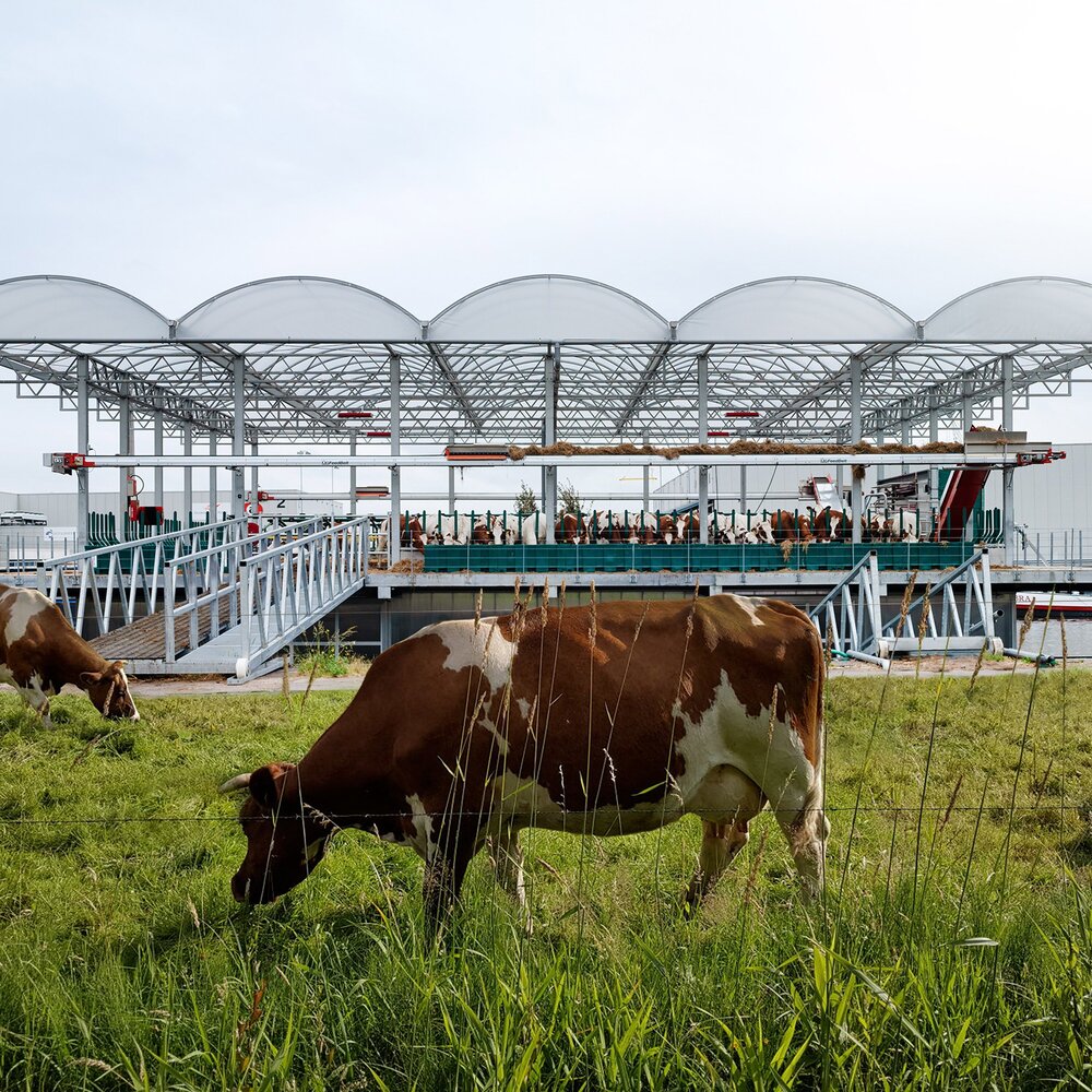 Building The World’s First Floating Farm In The Netherlands — AGRITECTURE