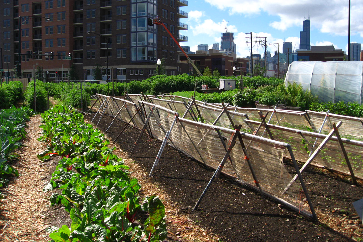 How Urban Agriculture Can Improve Food Security — AGRITECTURE