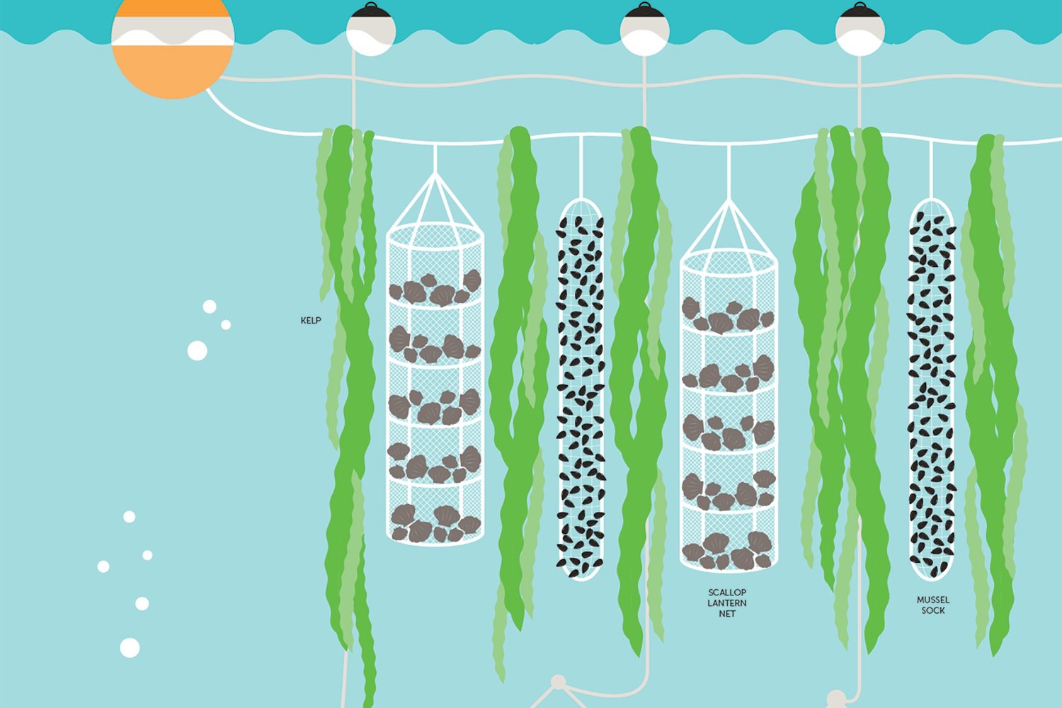3D ocean farm seeks to reshape aquaculture — AGRITECTURE