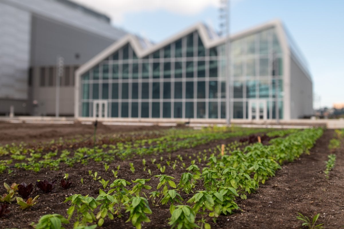 4 New Trends Shaping The Future Of Urban Agriculture In 2022 — AGRITECTURE
