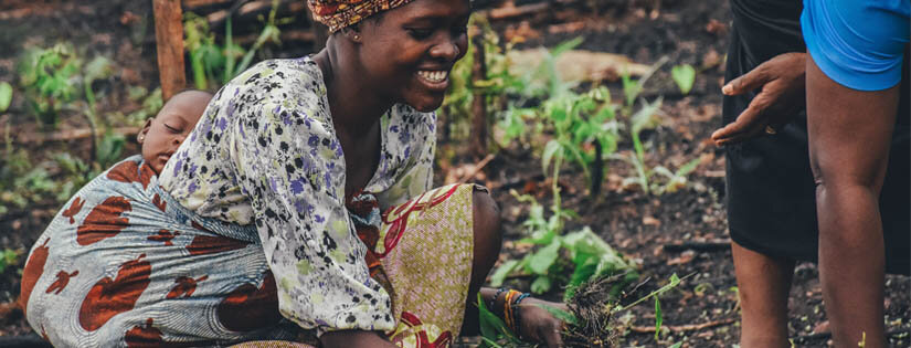 Kenyan Agri-Tech Startup, Taimba, Receives $277k In Funding — AGRITECTURE