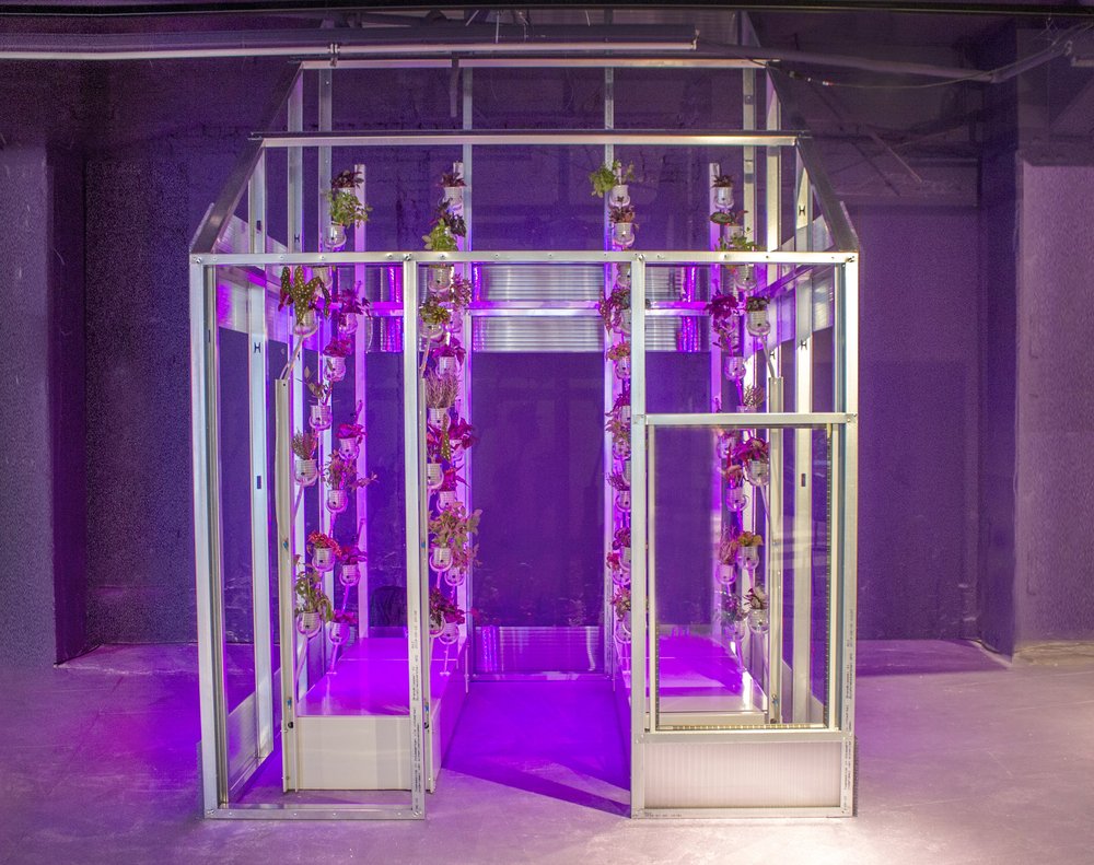 The Future of Farming is Power Plant Greenhouses — AGRITECTURE