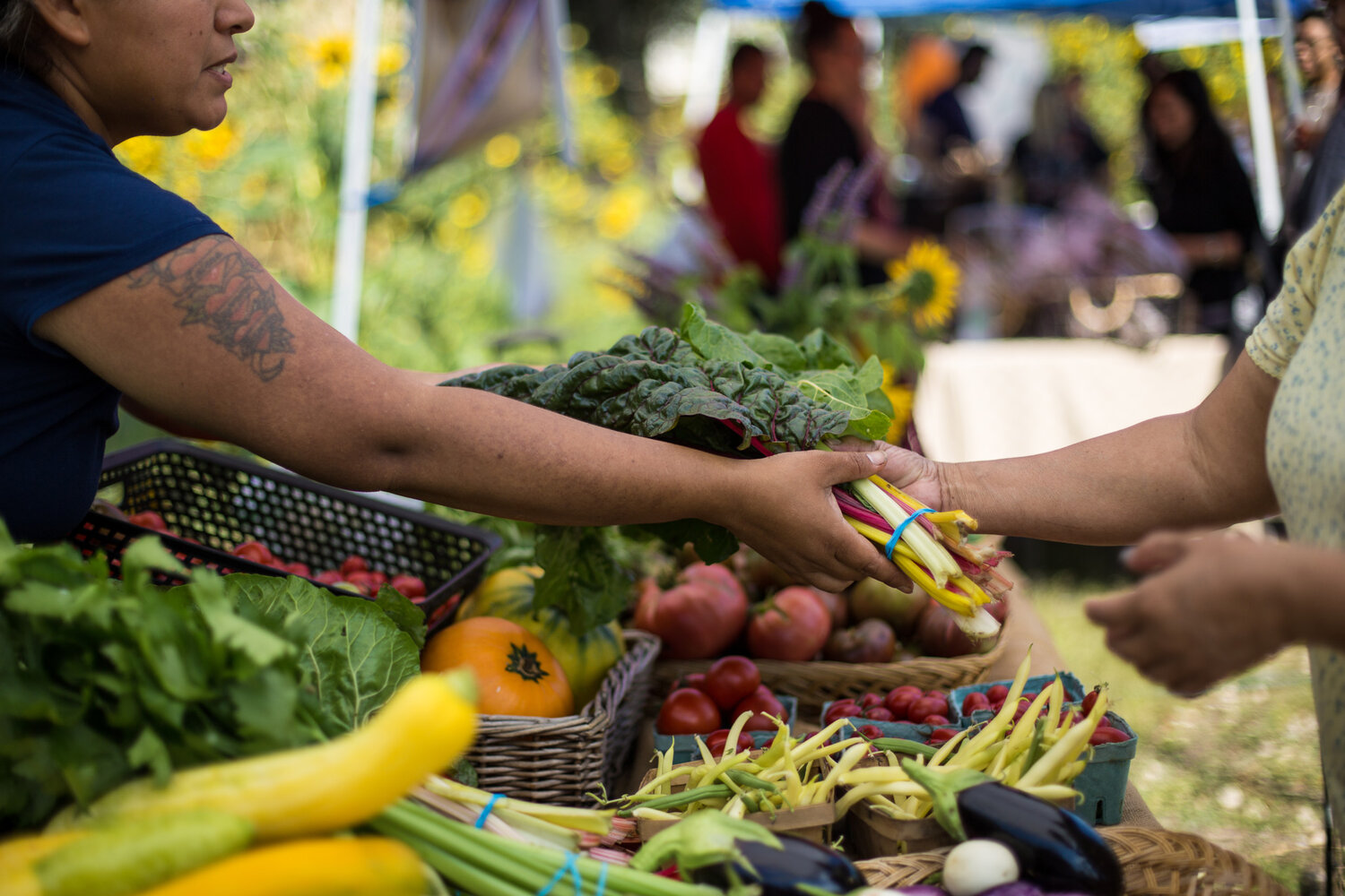 7 Urban Farms Creating A More Circular Food System — AGRITECTURE