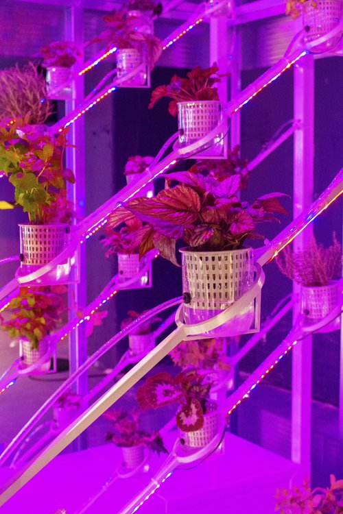 The Future of Farming is Power Plant Greenhouses — AGRITECTURE