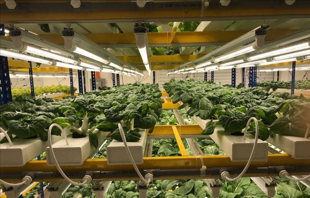 Empowering Change: Engineers Cultivate Future Food