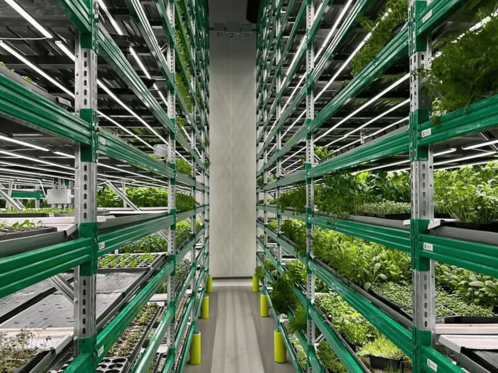 Introducing Agritecture Designer’s Advisor Bundle