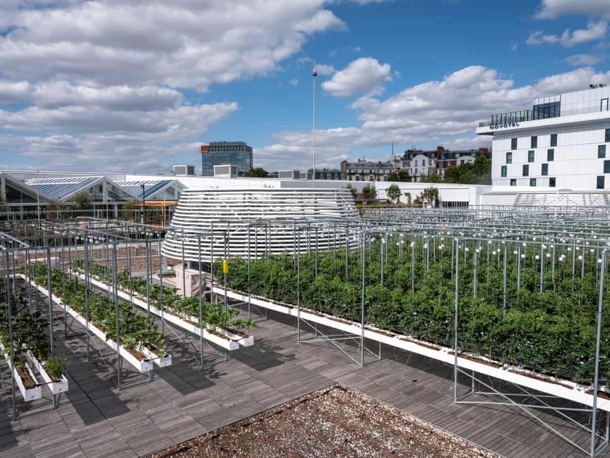 Inside The World's Largest Urban Rooftop Farm — AGRITECTURE