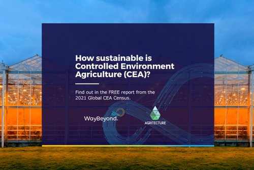 Top 9 CEA Wins and Losses That Shaped 2021