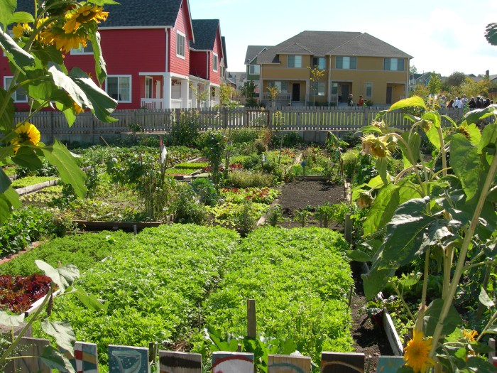 Iowa's First 'Agrihood' Aims To Integrate Agriculture Into The ...