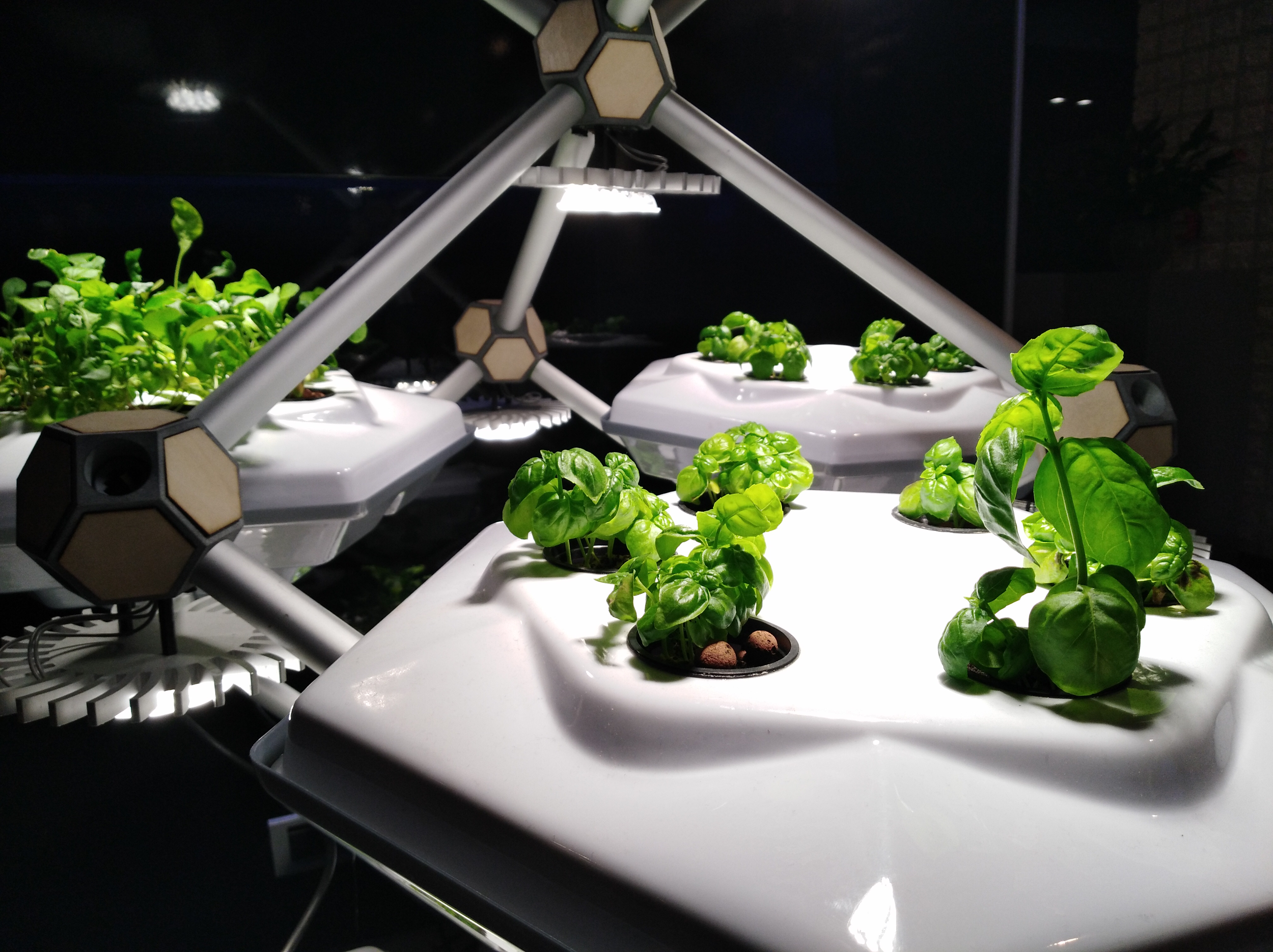 Nature-Inspired Indoor Gardens: Boosting Your Harvest