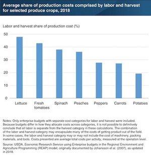 Specialized Labor Powers Vertical Farm Success - AGRITECTURE