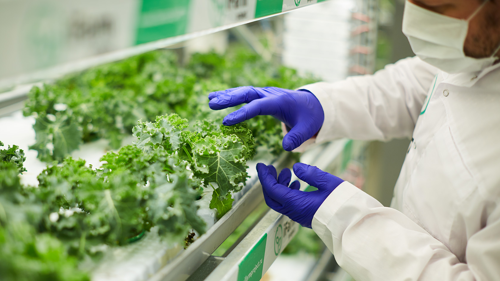 iFarm Wants Farms To Be As Common In Homes As Computers — AGRITECTURE