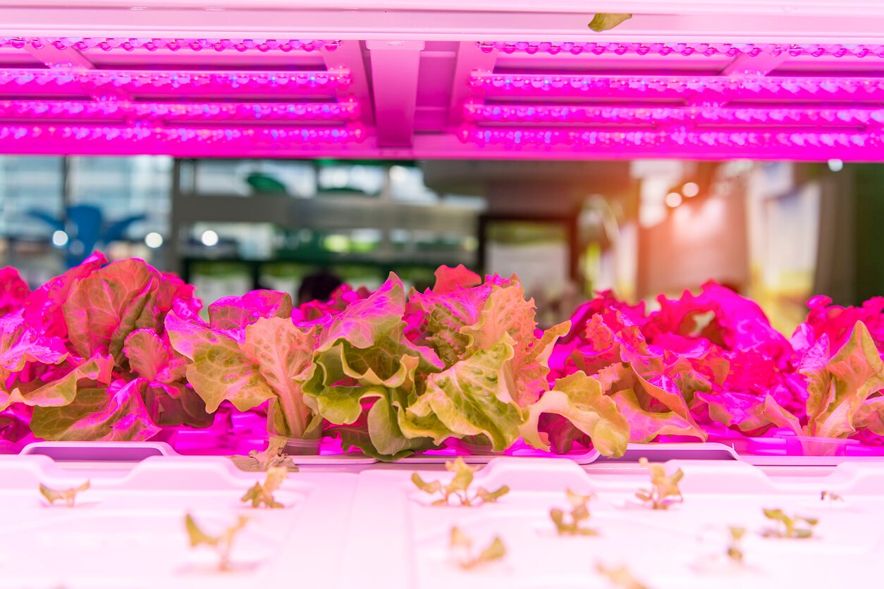 Inside The Indoor AgTech Landscape — AGRITECTURE