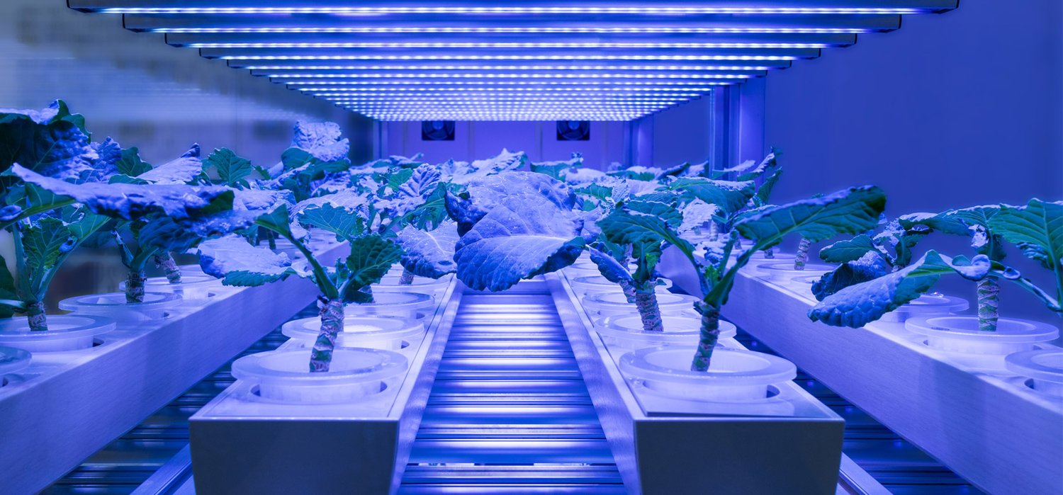 7 Steps to Analyze Your Farm’s Carbon Footprint