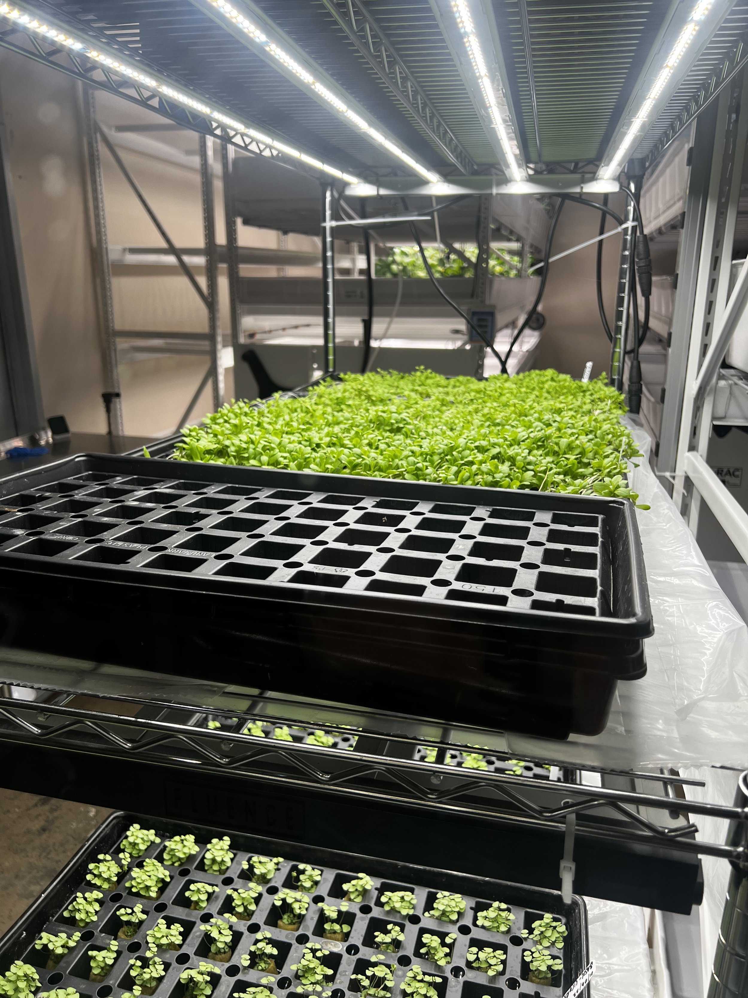 5 Expert Tips For Building Your Own Socially-Impactful Farm — AGRITECTURE