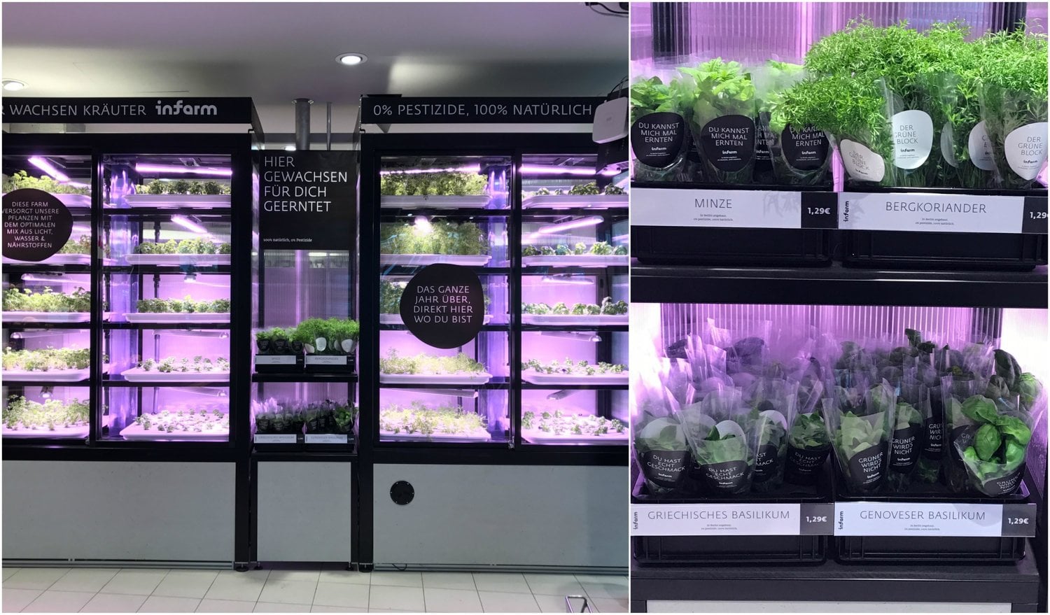Infarm Raises $25M for Vertical Farming Expansion