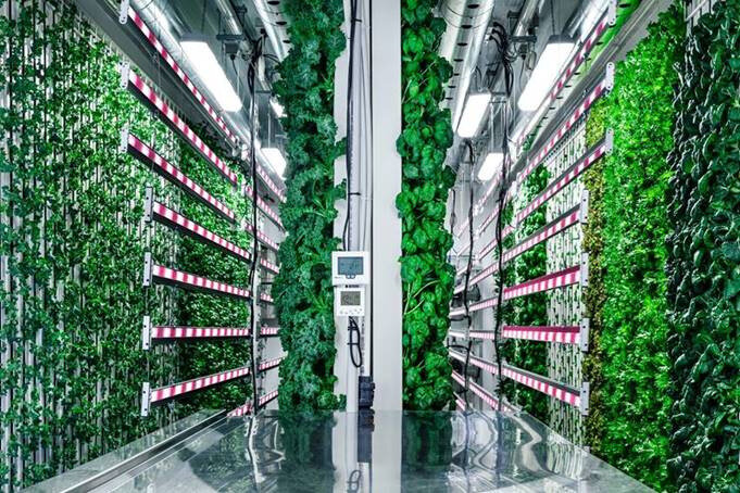 An Urban Home For High Tech Horticulture In Australia — AGRITECTURE