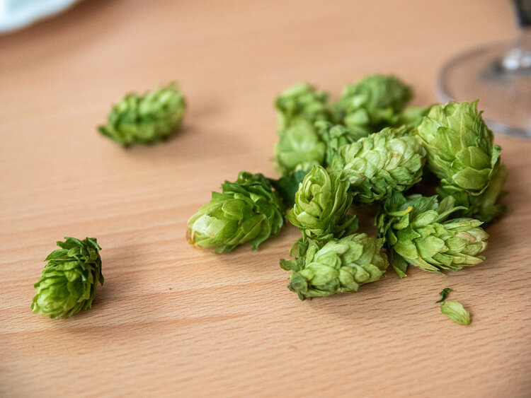 AI Boosts Climate-Resilient Beer Production