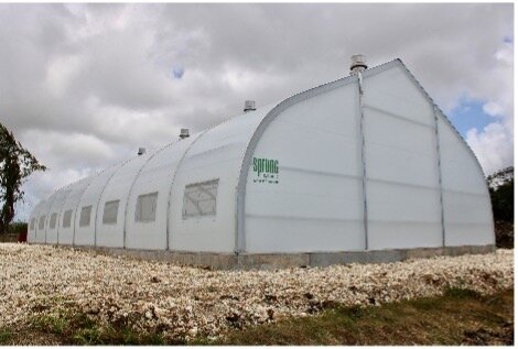 Hurricane-Proof Greenhouses Boost Island Resilience