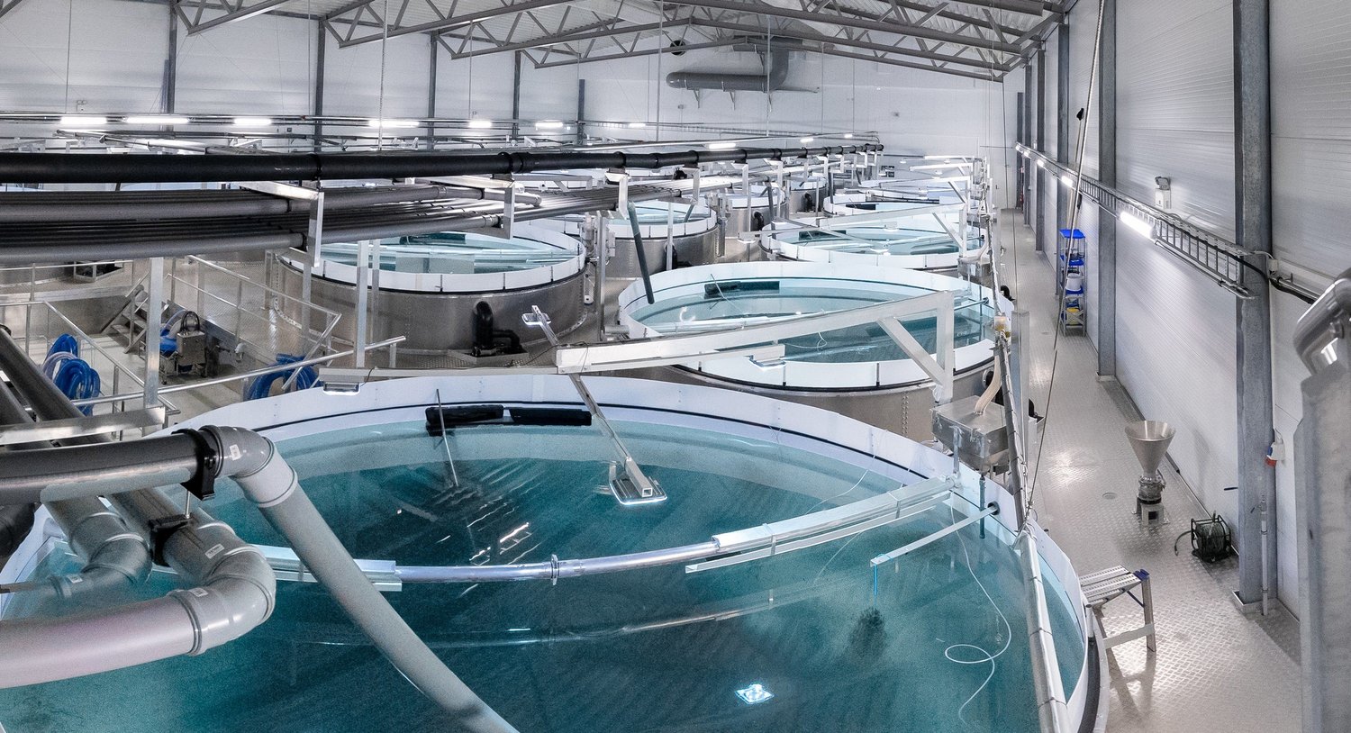 A Dive into Aquaculture: The Future of Sustainable Seafood — AGRITECTURE