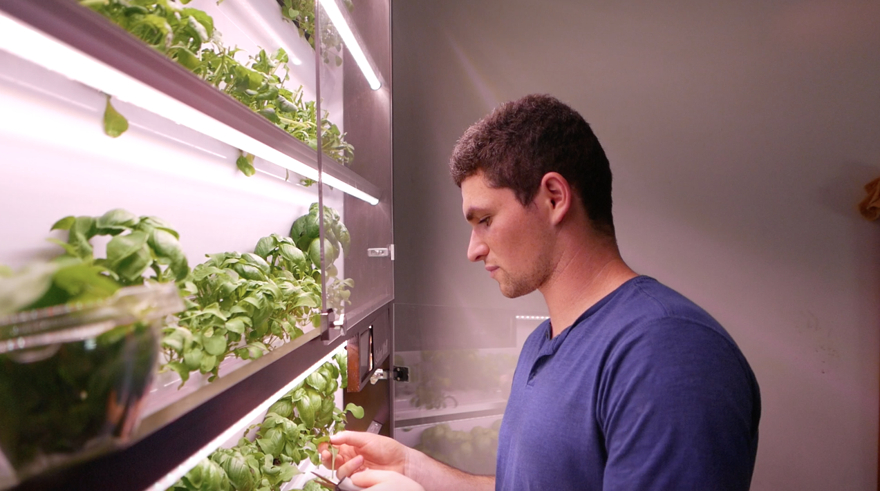 10 New Trends In CEA In 2021 And Beyond — AGRITECTURE