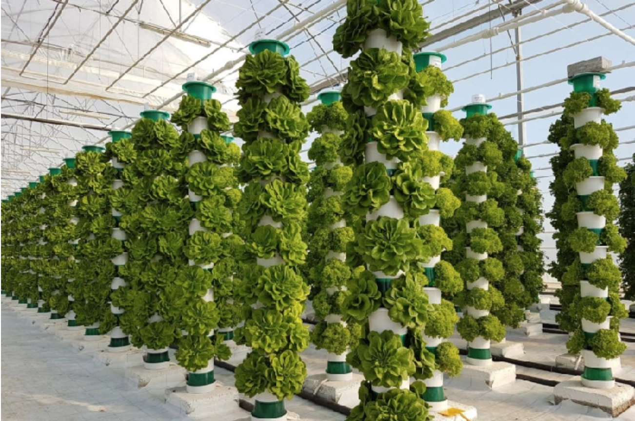 Scottish Start-Up Plans To Build 40 Vertical Farms Across UK — AGRITECTURE