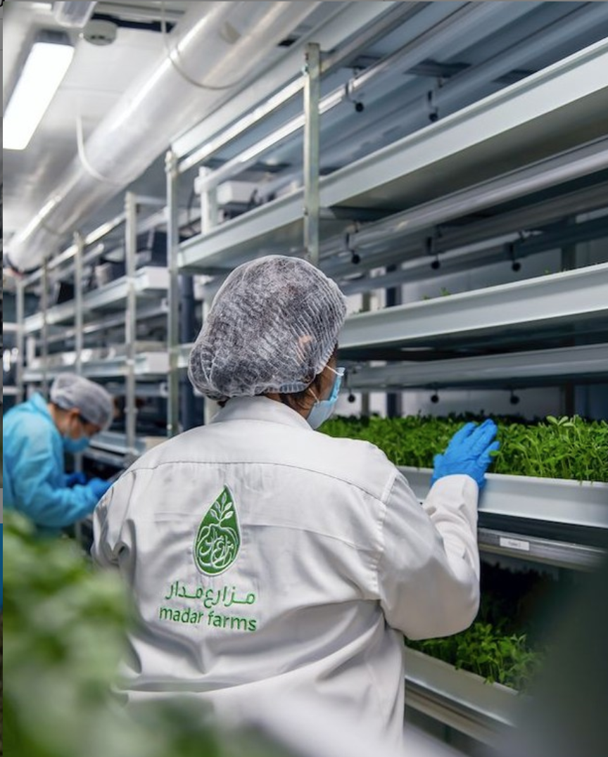 How Madar Farms Is Helping The UAE Face Food Security — AGRITECTURE
