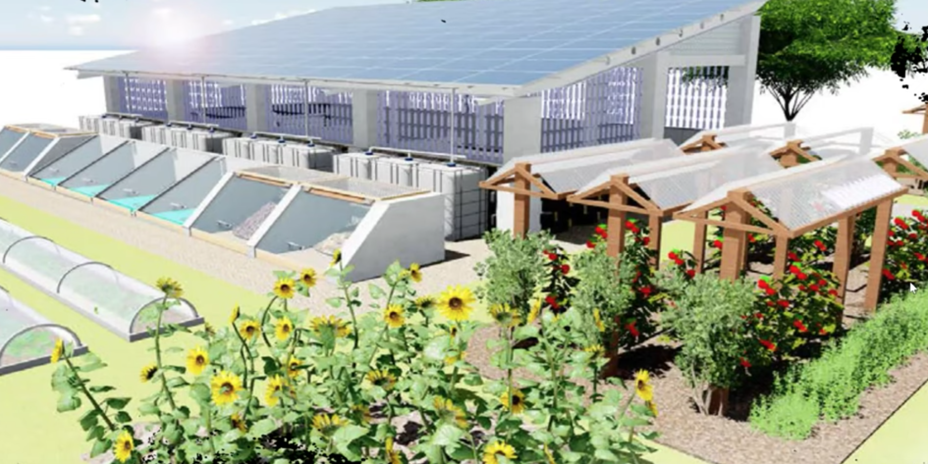 Embracing AI: Transforming Tomorrow's Food Systems