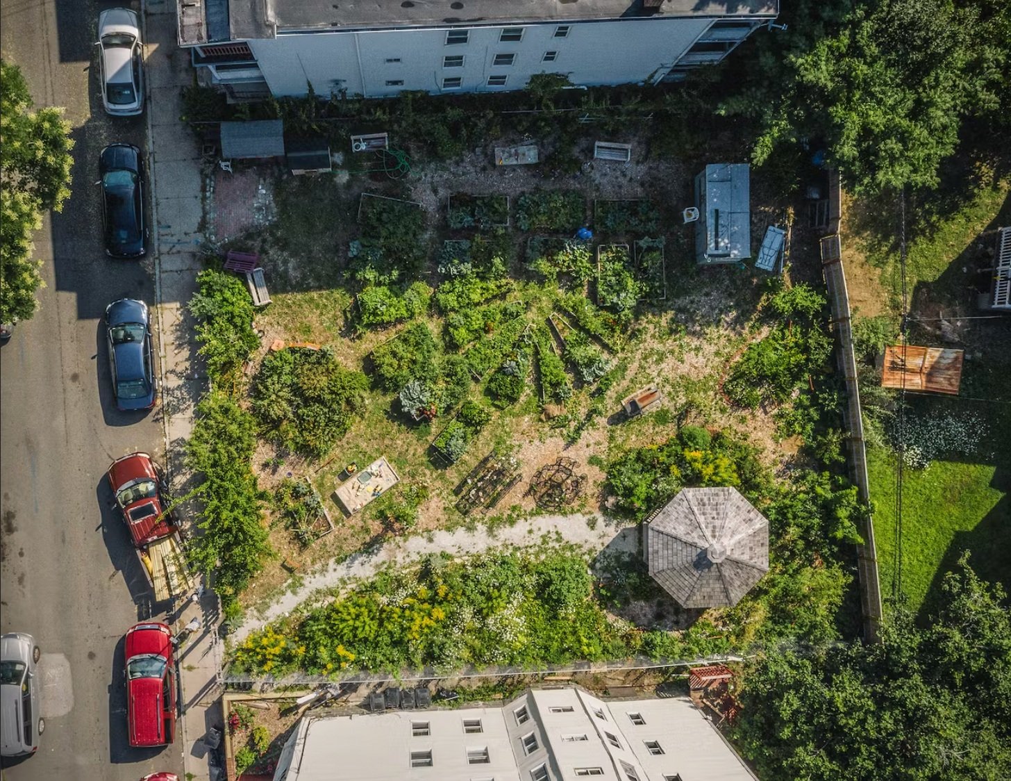 Food forests are bringing shade and sustenance to US cities, one parcel ...