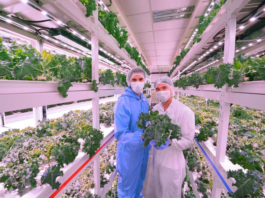 Singapore Vertical Farming Start-Up Expands to Hong Kong — AGRITECTURE