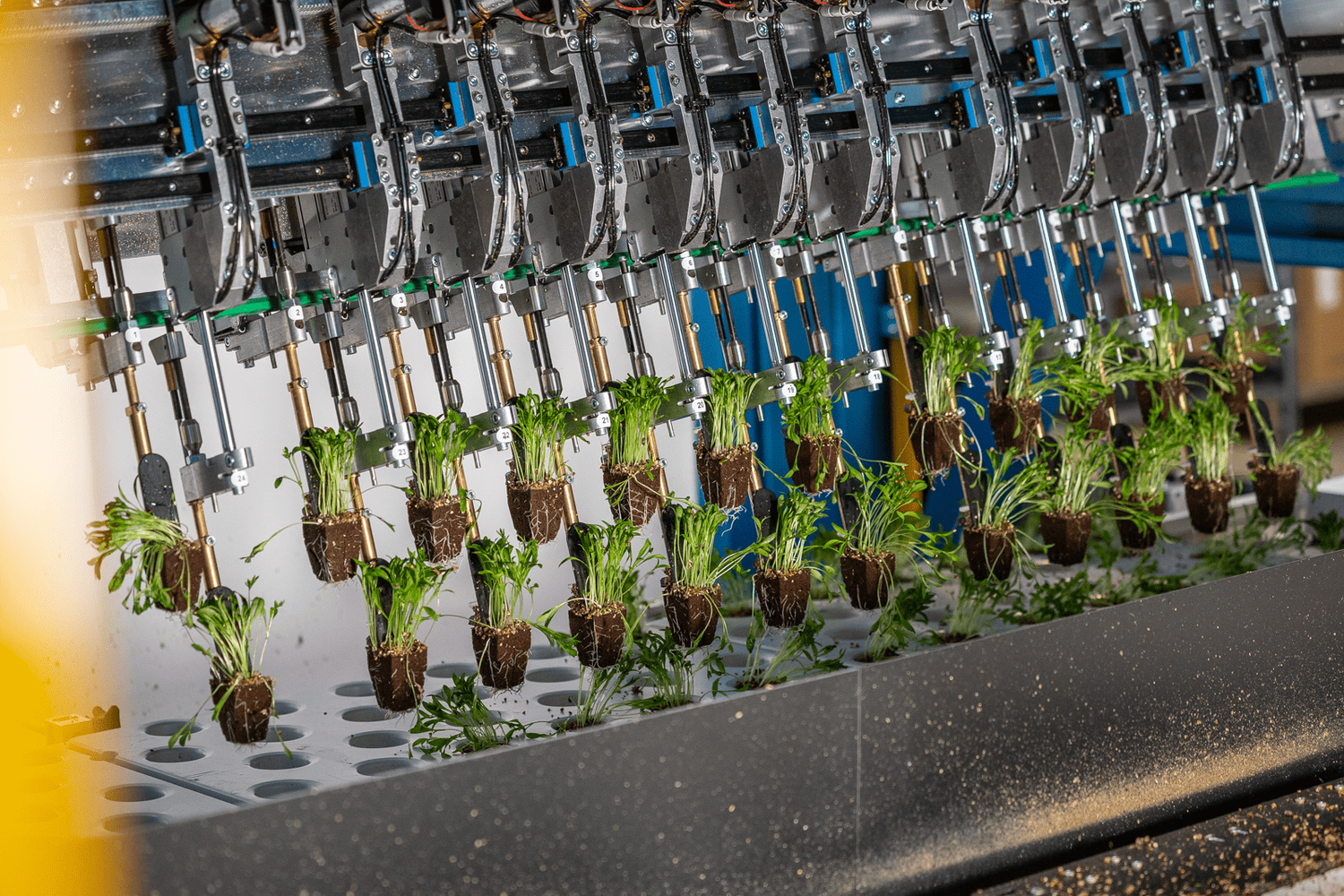 5 Automation Companies to Look Out For — AGRITECTURE