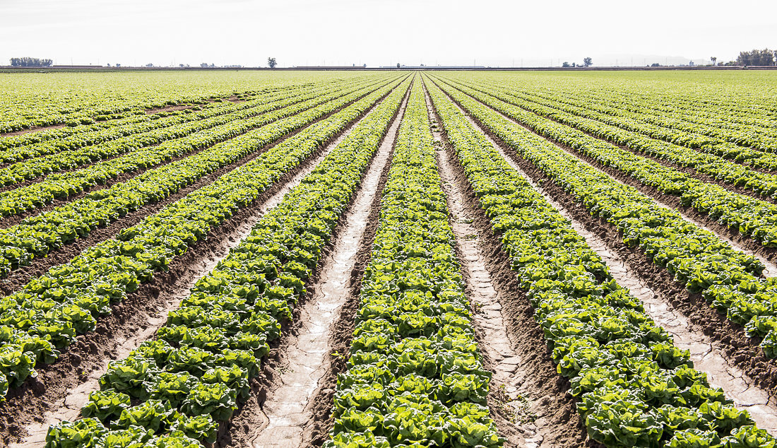 Zero Waste Farms: The Next Step For Sustainable Agriculture — AGRITECTURE