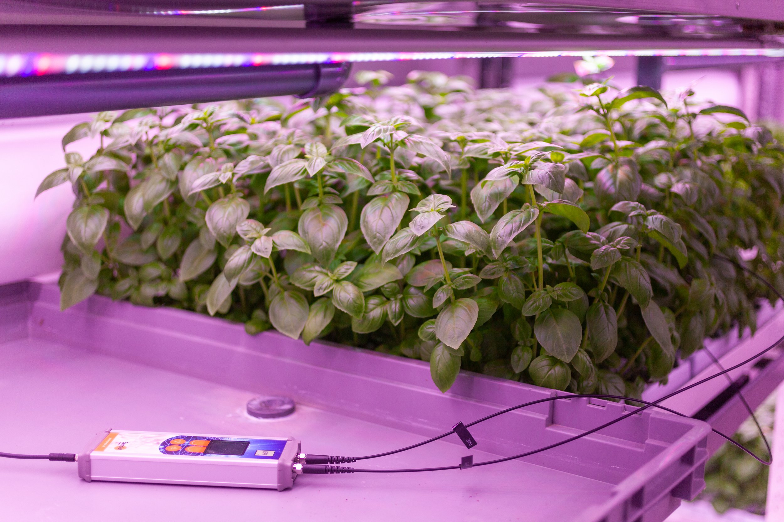 Why Engineering Is Key to Indoor Farm Success