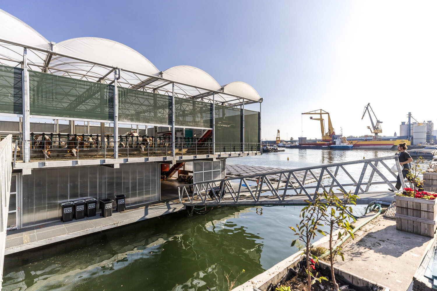 Building The World’s First Floating Farm In The Netherlands — AGRITECTURE