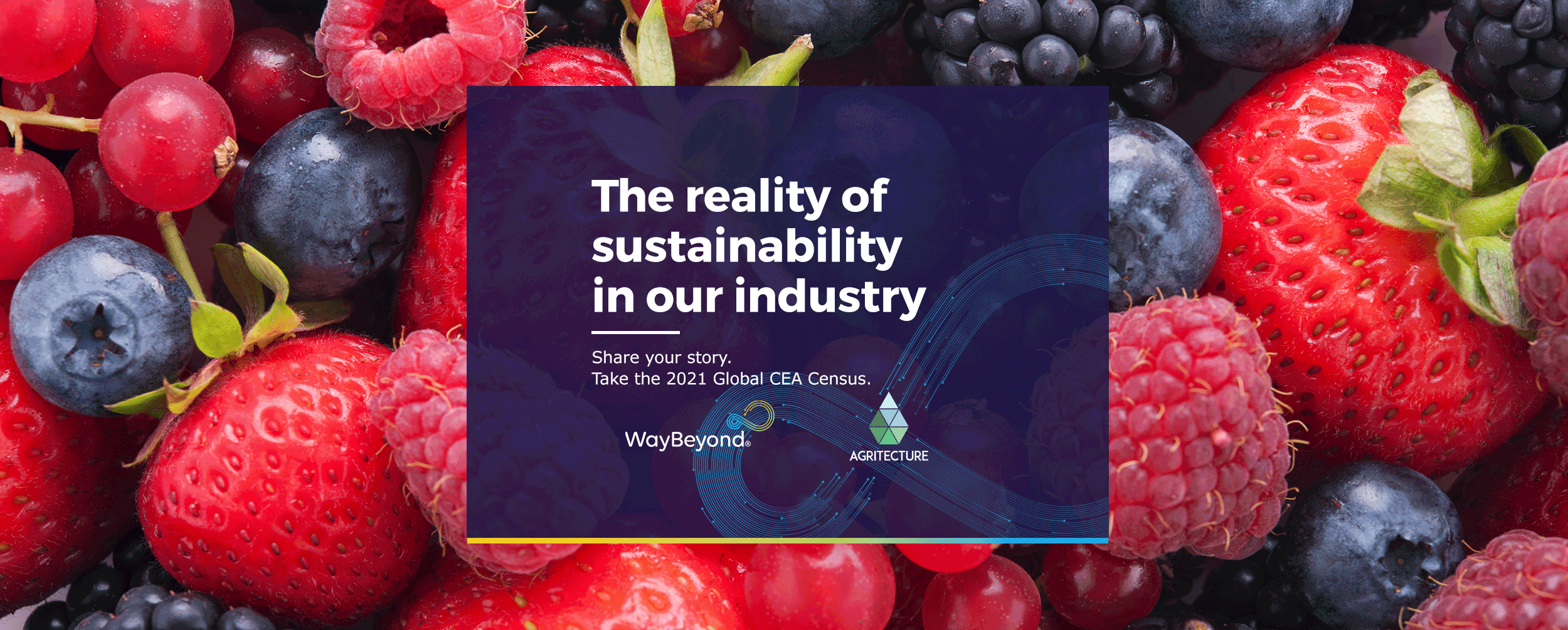 2021 Global CEA Census Will Measure The Impact Of Sustainability ...
