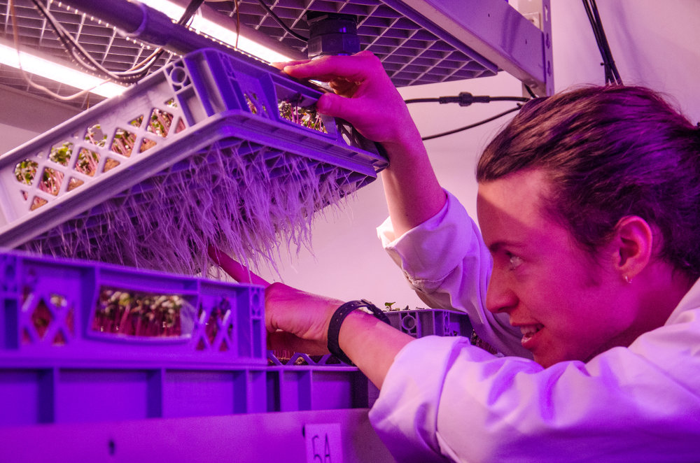 LettUs Grow Is Using Aeroponics To Build Farms Of The Future — AGRITECTURE