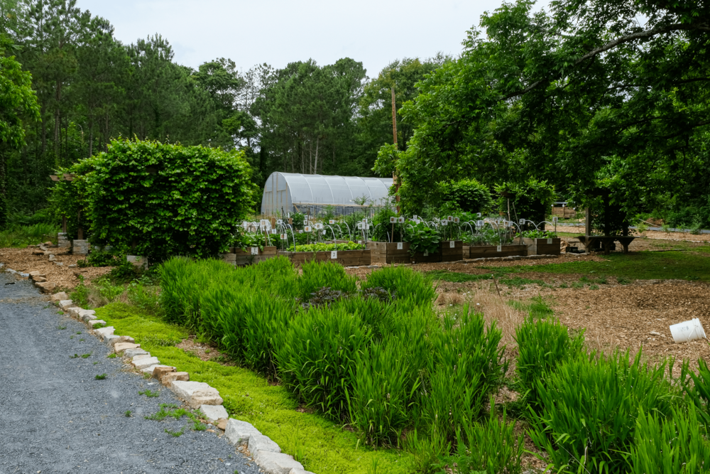 Atlanta Invests In Their Community With A 7-Acre Food Forest — AGRITECTURE