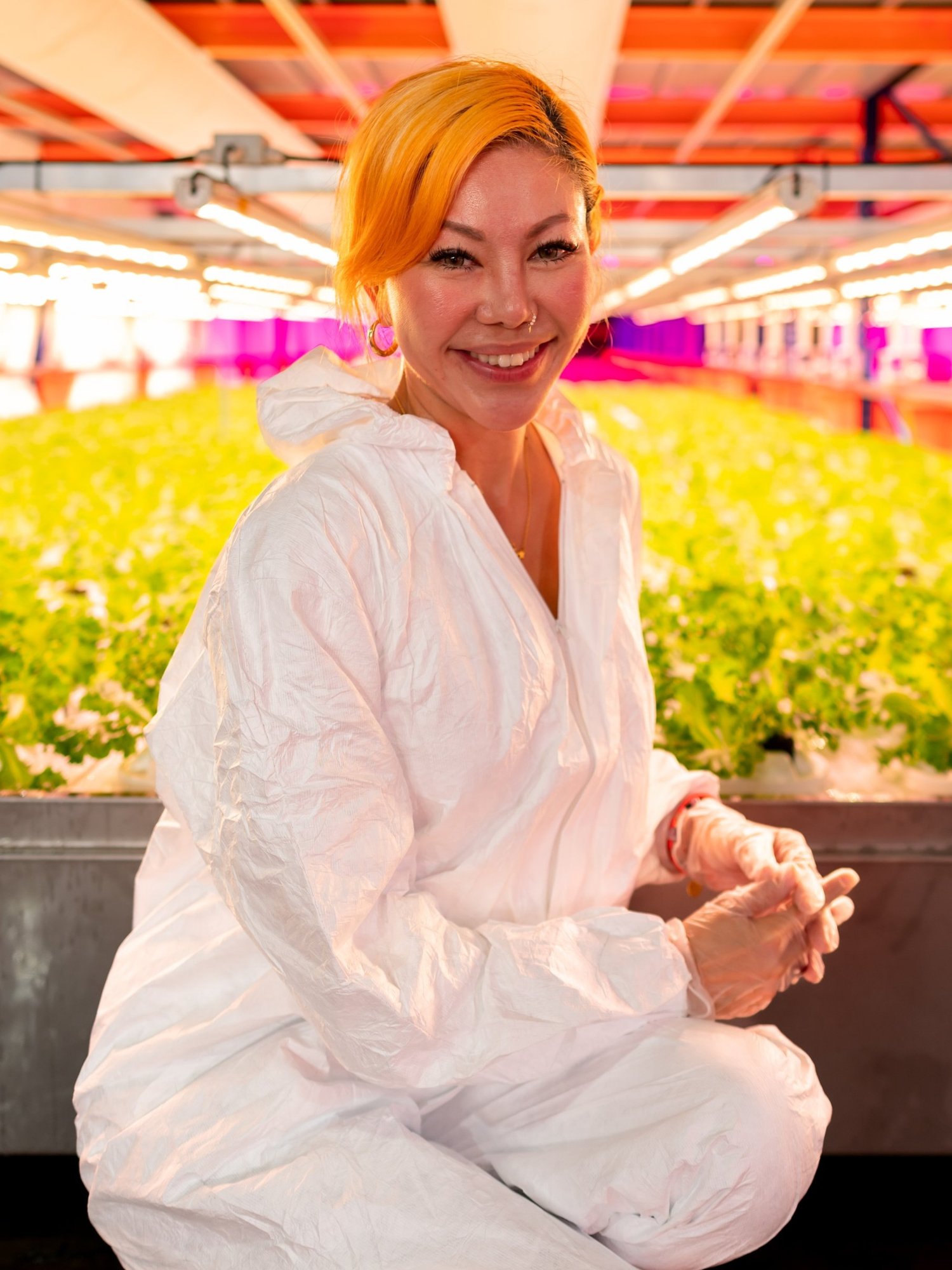 3 Singapore Companies Boost Local Food with CEA