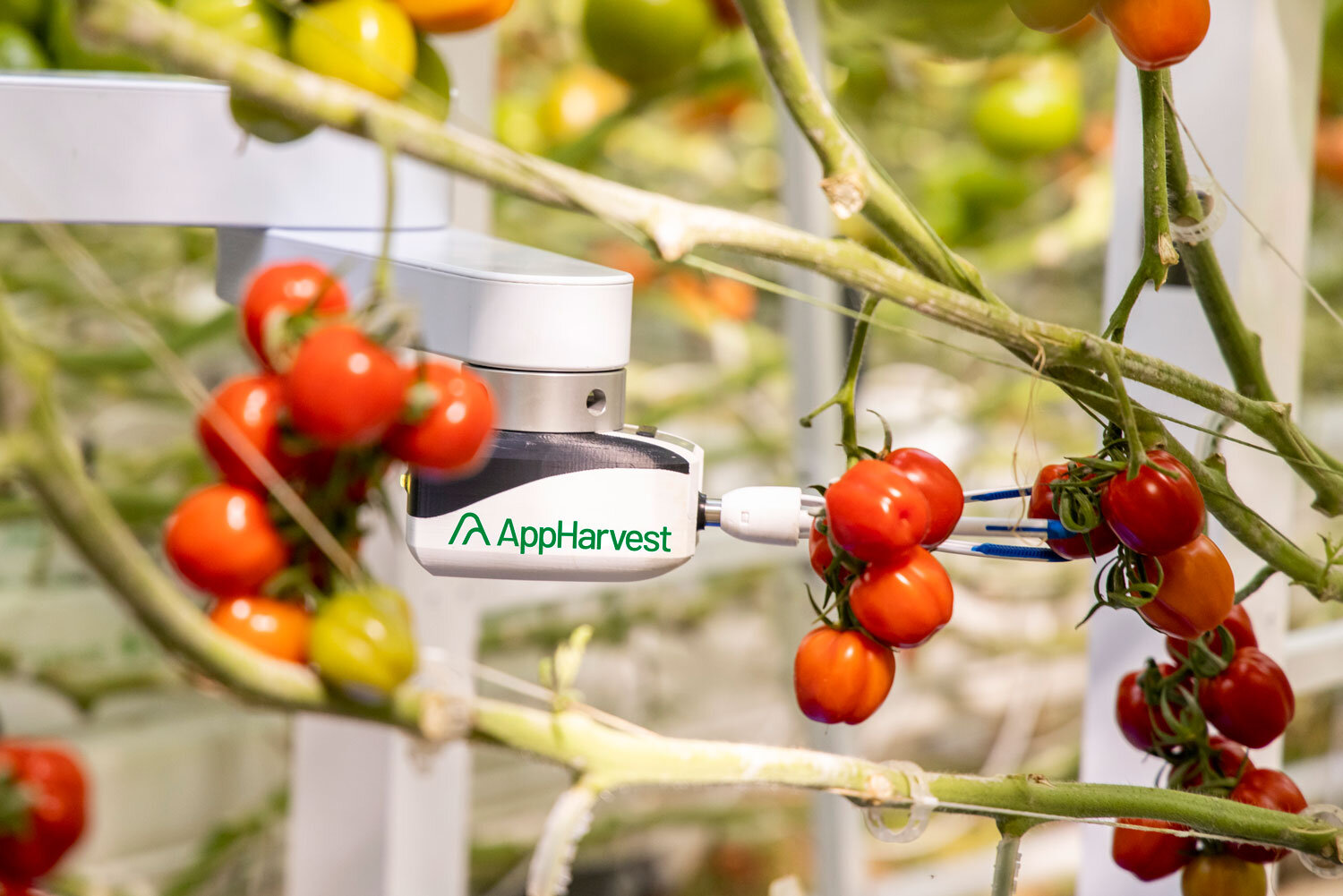 AppHarvest Acquires Agricultural Robotics And Artificial Intelligence ...