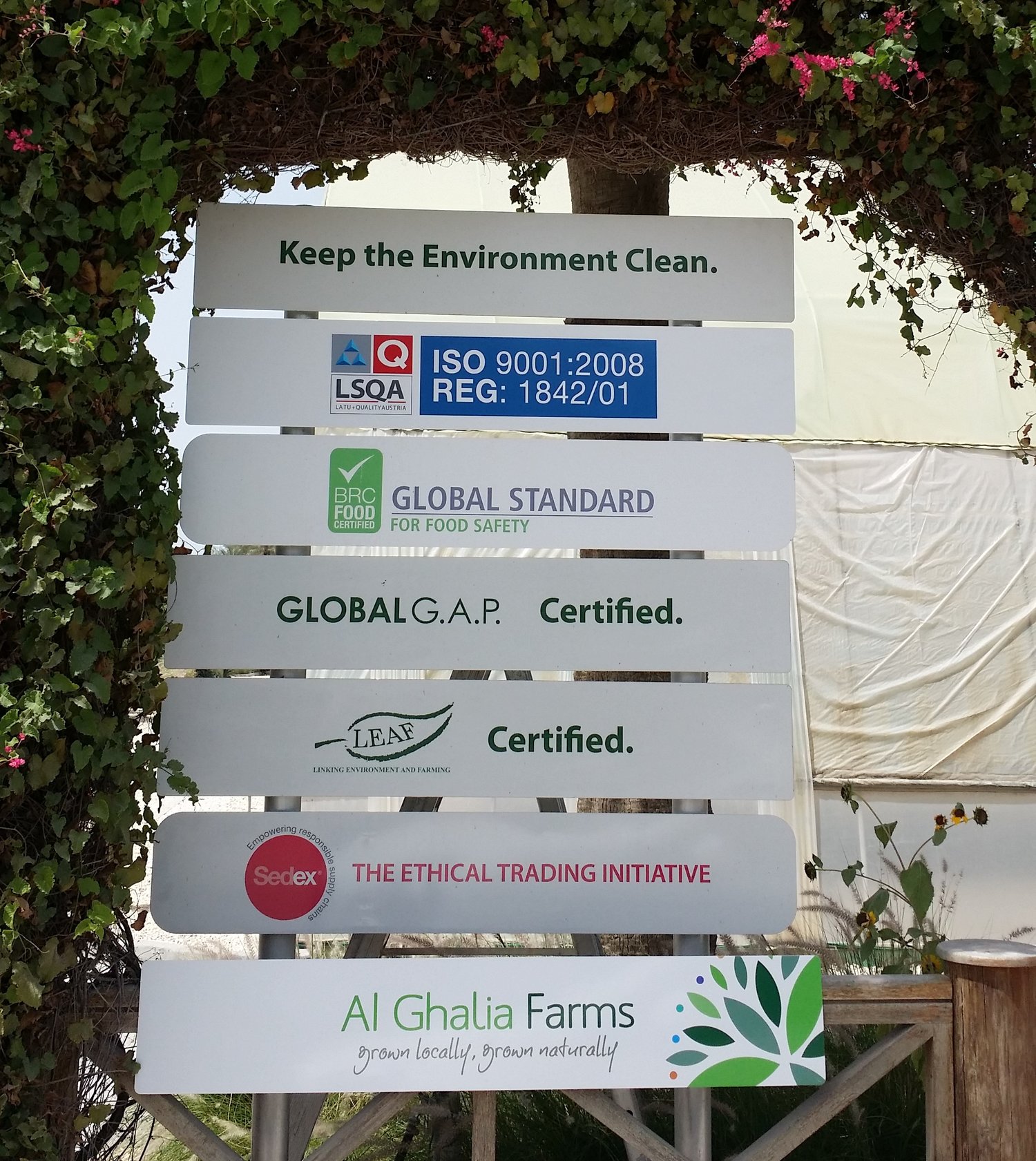 Al Ghalia Farms Leads Hydroponics in Bahrain