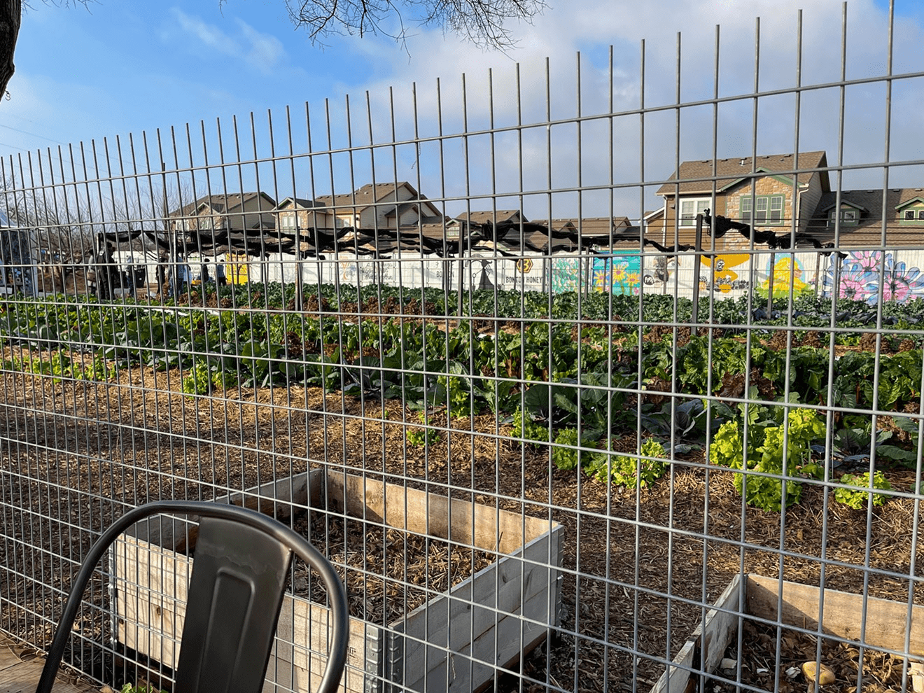 Urban Farms in Dallas Will Be Vital to a Healthier Population, City ...