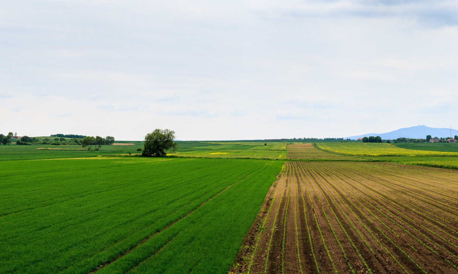 Circulytics: Tool to Measure Business Circularity